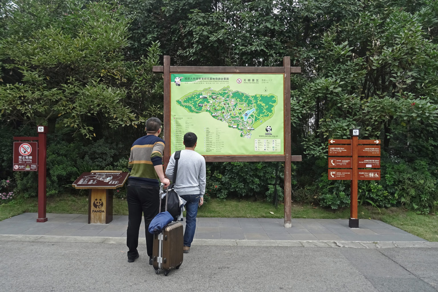 The 5 PANDA BASES in Sichuan Province – a summary on visiting + what’s ...